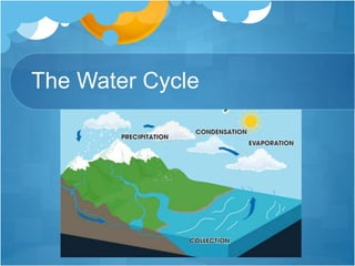 Water cycle | PPTX