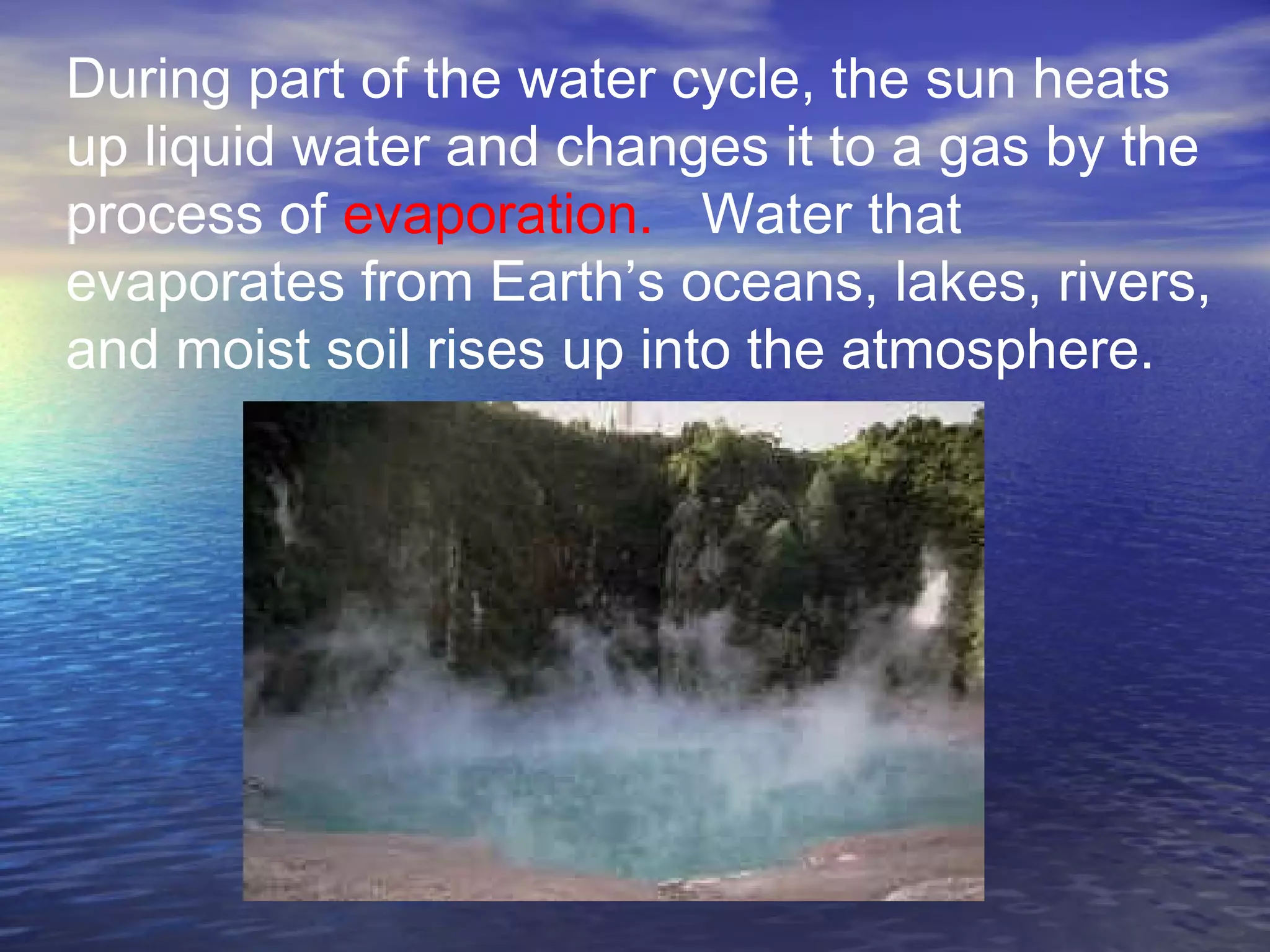The Water cycle Presentation | PPT