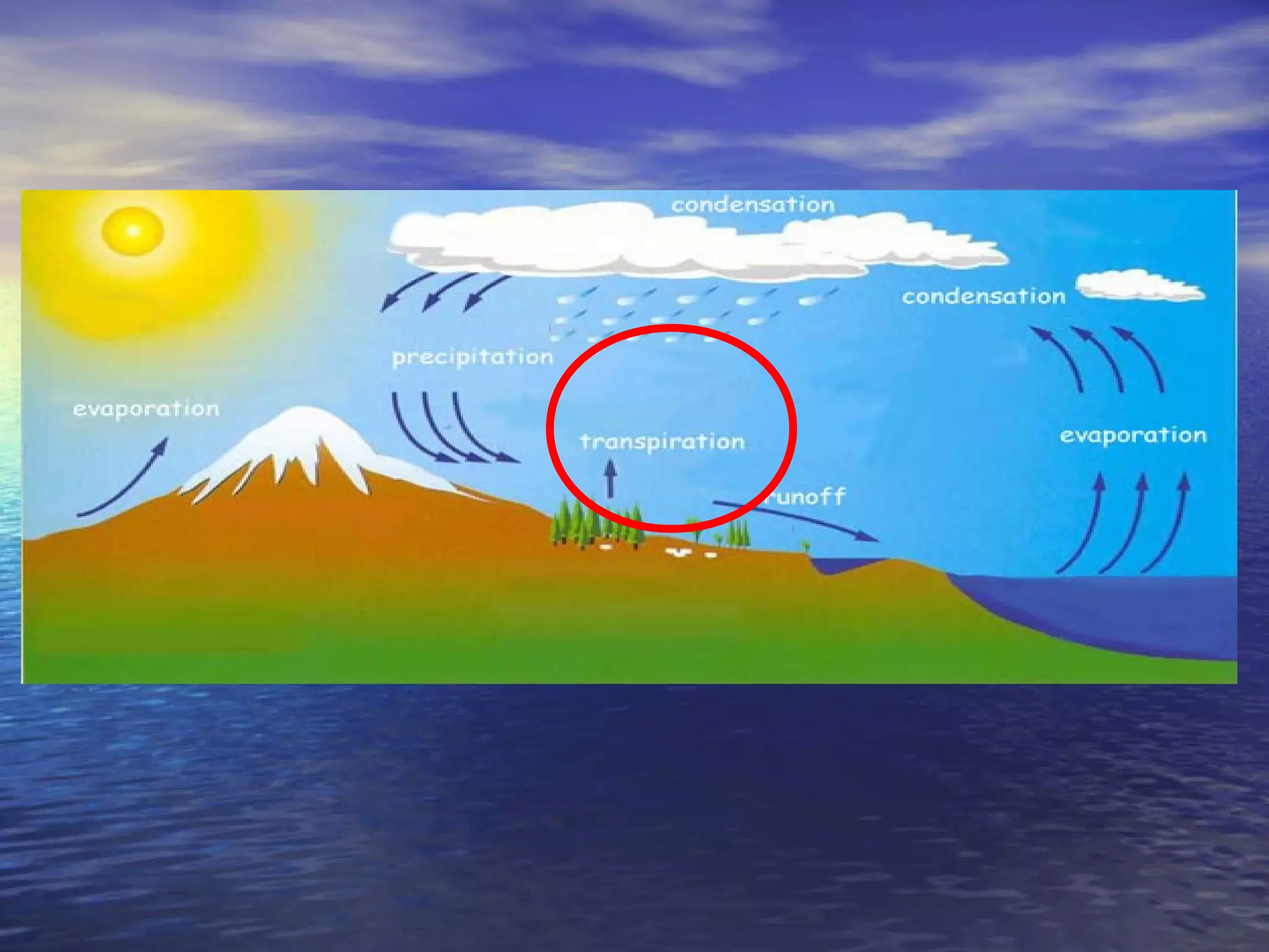 The Water cycle Presentation | PPT