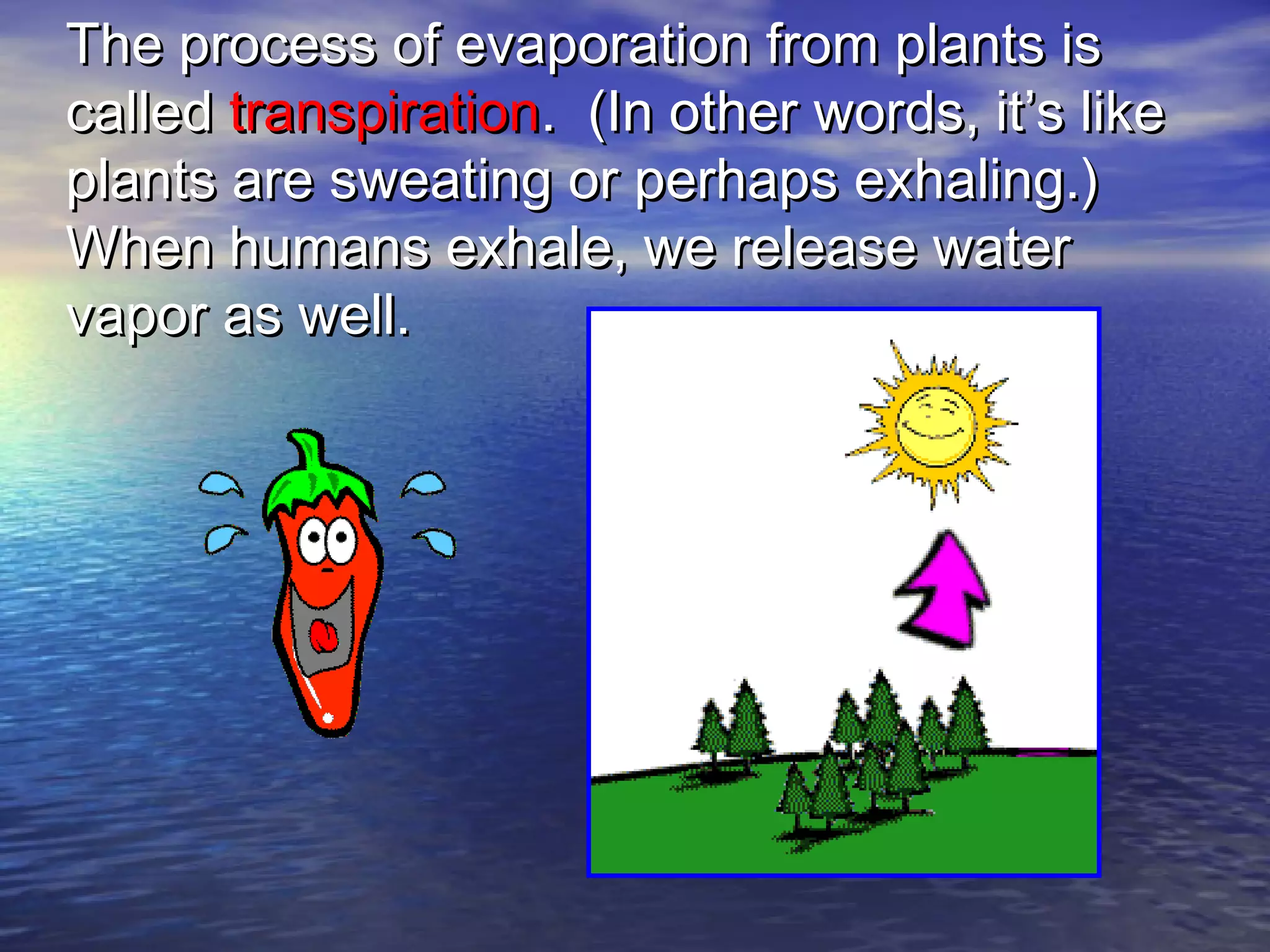 The Water cycle Presentation | PPT