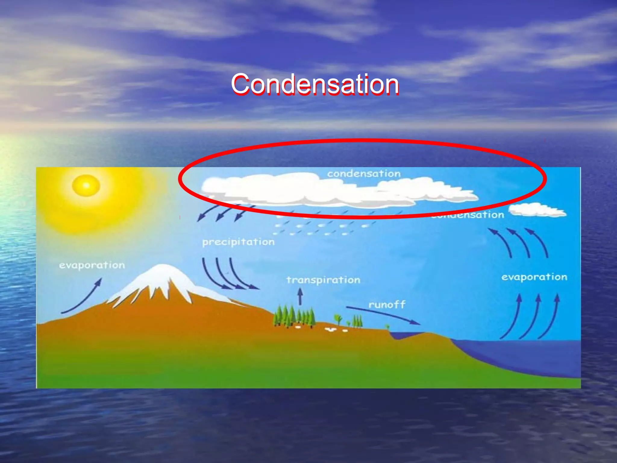 The Water cycle Presentation | PPT