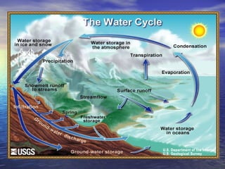 The Water cycle Presentation | PPT