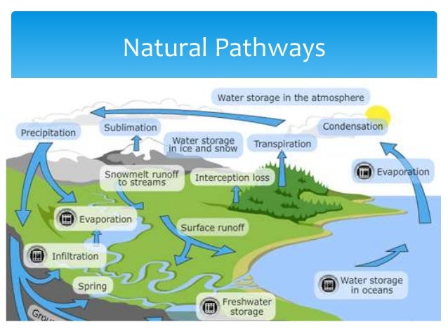 Water cycle PERIOD 4