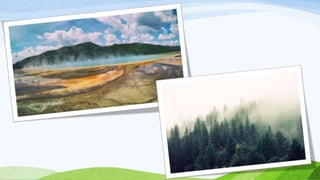 Water cycle | PPTX