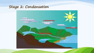 Water cycle | PPTX