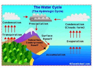 Water cycle presentation | PPTX