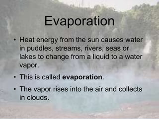 Water cycle presentation | PPTX