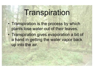Water cycle presentation | PPTX