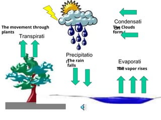 Water cycle presentation | PPTX