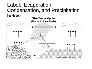 Water cycle | PPT
