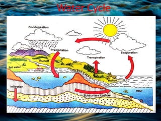 Water cycle | PPT