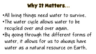 WATER CYCLE | PPTX | Weather | Science