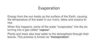 Water Cycle.pptx