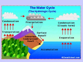Water Cycle.ppt