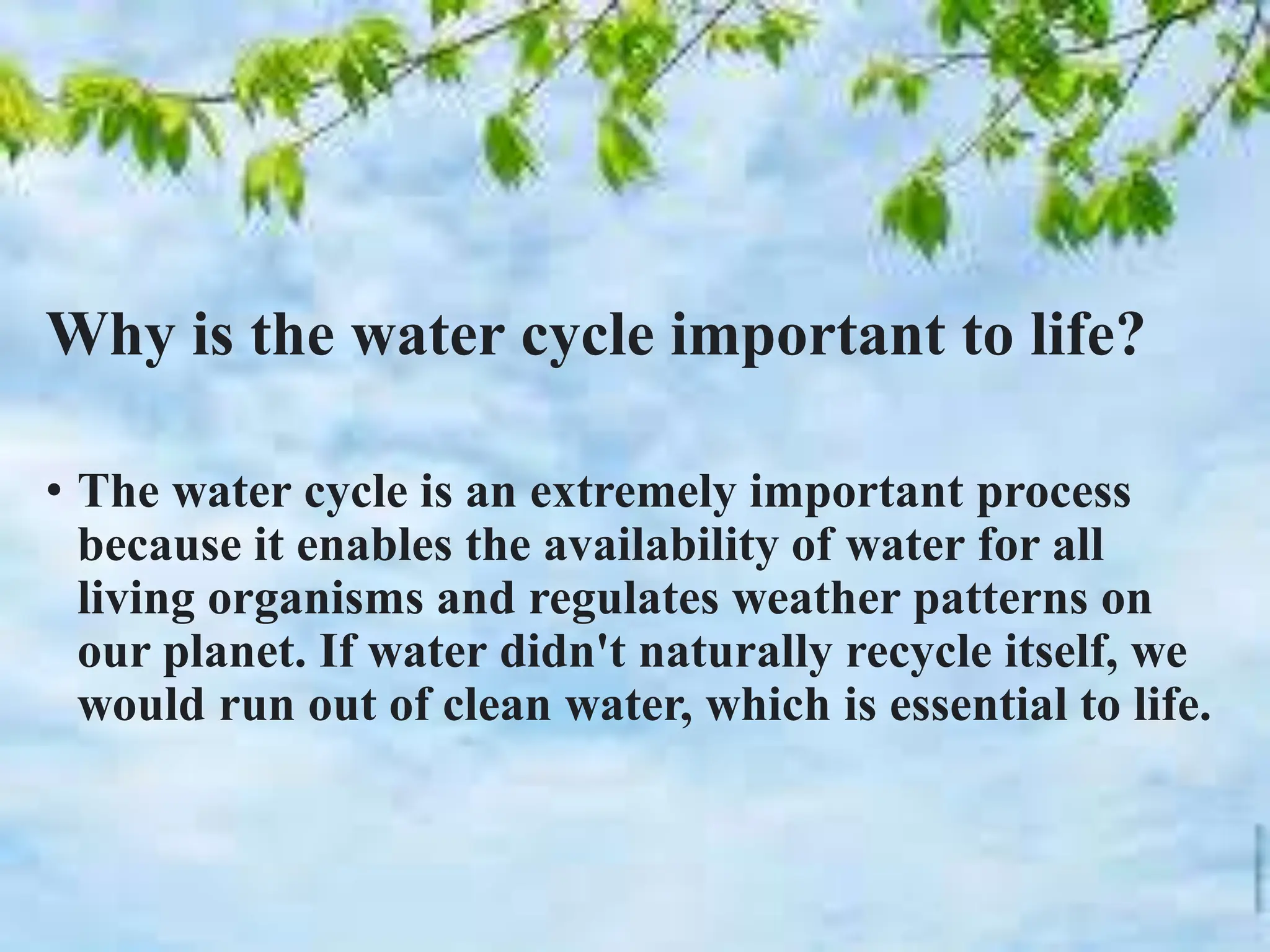 Water Cycle | PPTX