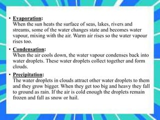 Water Cycle | PPTX