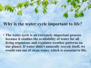 Water Cycle | PPT