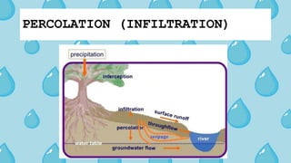 WATER CYCLE.pptx