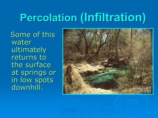 Water Cycle and the Process of Water Production | PPT