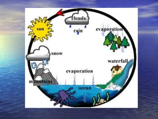 stages of the water cycle science presentation | PPT