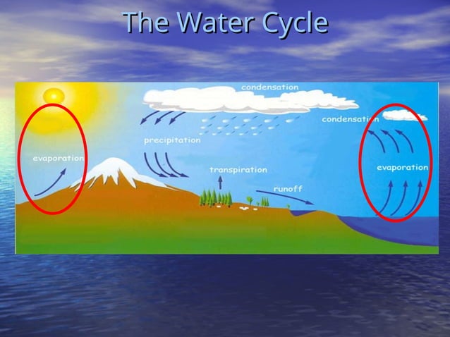 stages of the water cycle science presentation | PPT