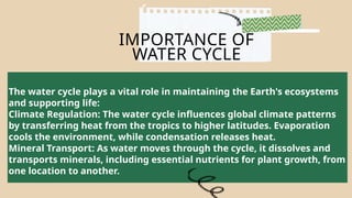 water cycle and its importance to humans.pptx