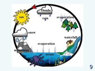 Earth’s Water Cycle: Evaporation, Condensation, and Precipitation | PPT