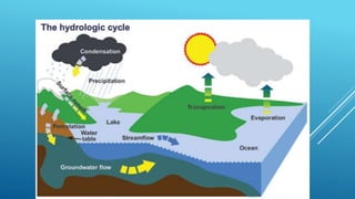 Water Cycle Song Cycle, ERES 7B, FALL2014 | PPTX
