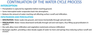 Earth’s Water Cycle: Evaporation to Rain | PPT