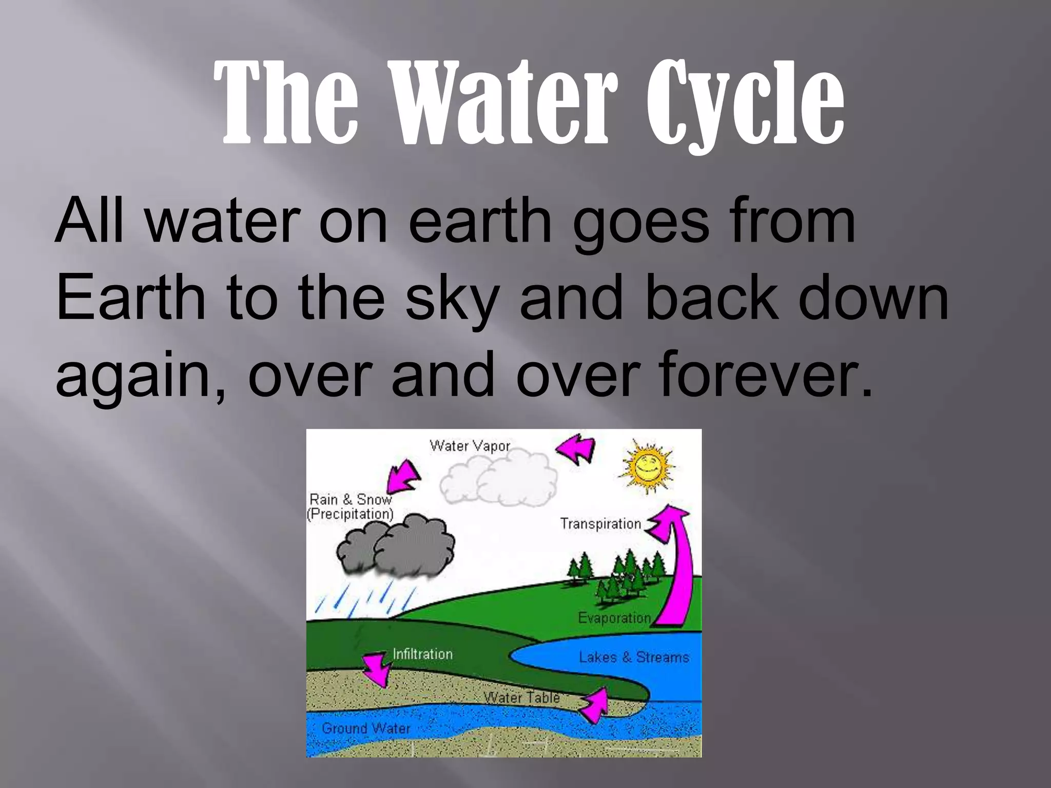Water cycle and weather | PPTX
