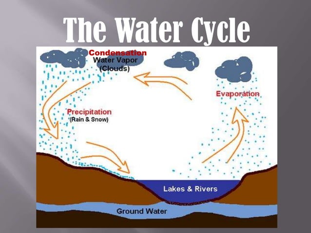 Water cycle and weather | PPTX