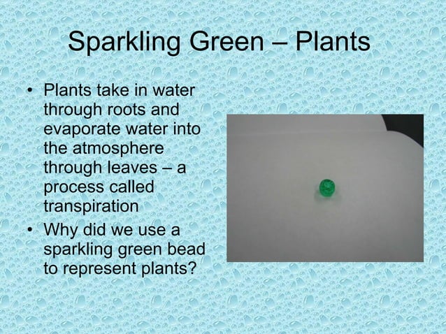 Water Cycle Bracelet | PPT