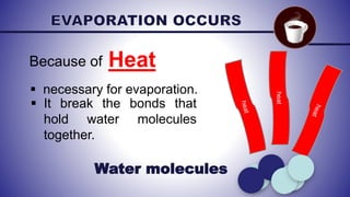 water cycle demo.pptx