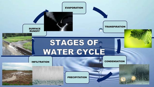 water cycle demo.pptx