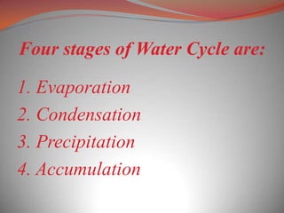 Water cycle final | PPTX