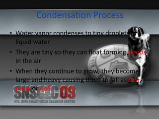 Water Cycle In Nature | PPT