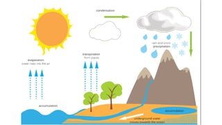 Water cycle interactive powerpoint science | PPTX