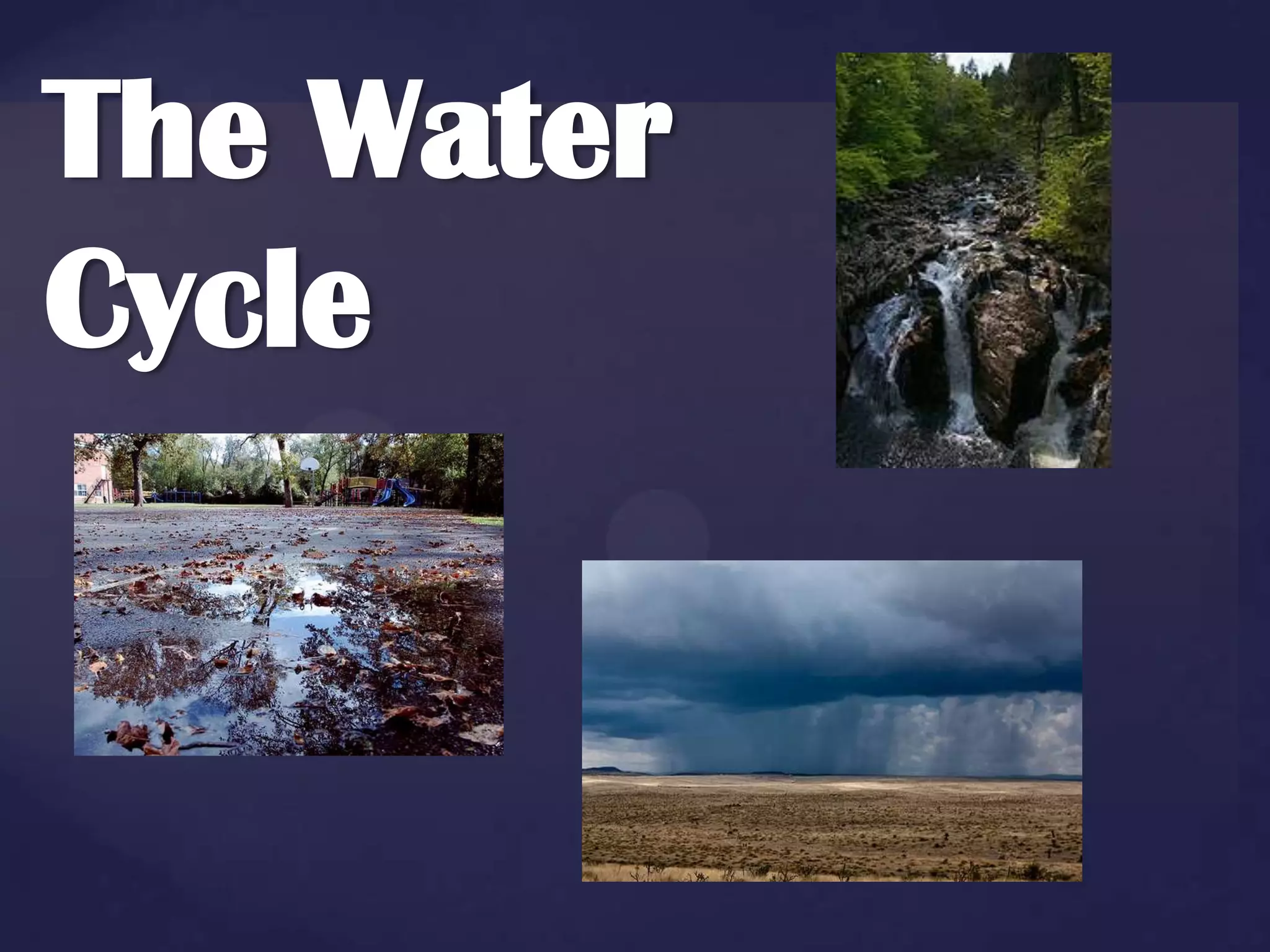 Water cycle powerpoint | PPTX