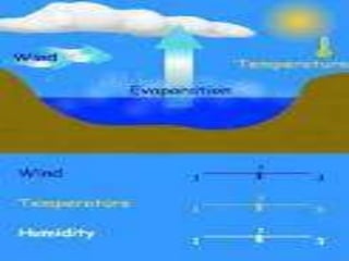Water cycle powerpoint | PPTX