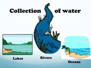 Water cycle power point | PPTX