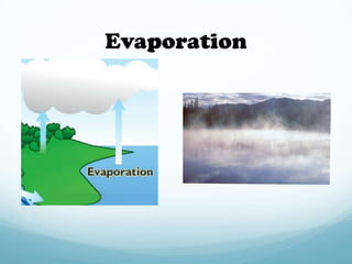 Water cycle power point | PPTX