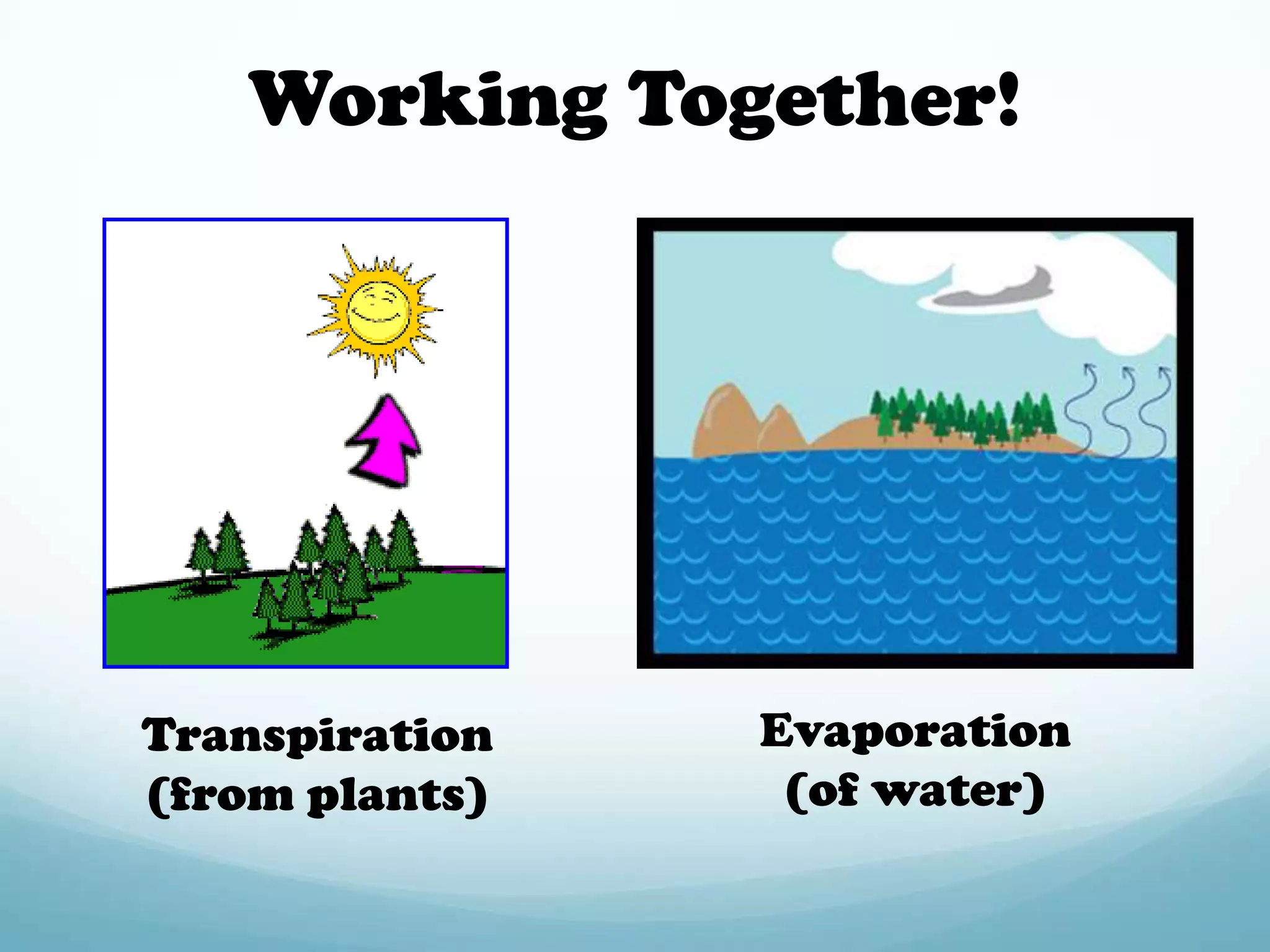 Water cycle power point | PPTX