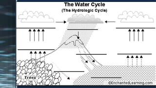 Global Water Cycle in Hawaii | PPTX