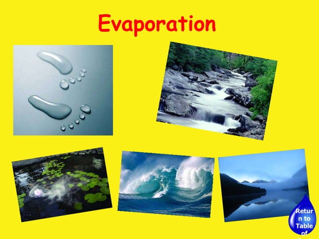 Water cycle ppt | PPT | Weather | Science