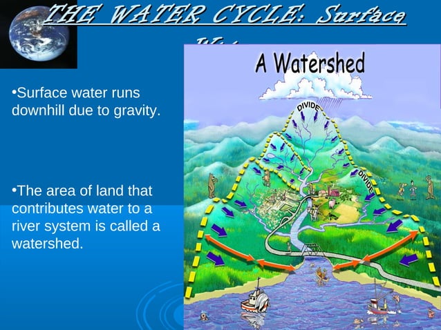 Water cycle ppt | PPT