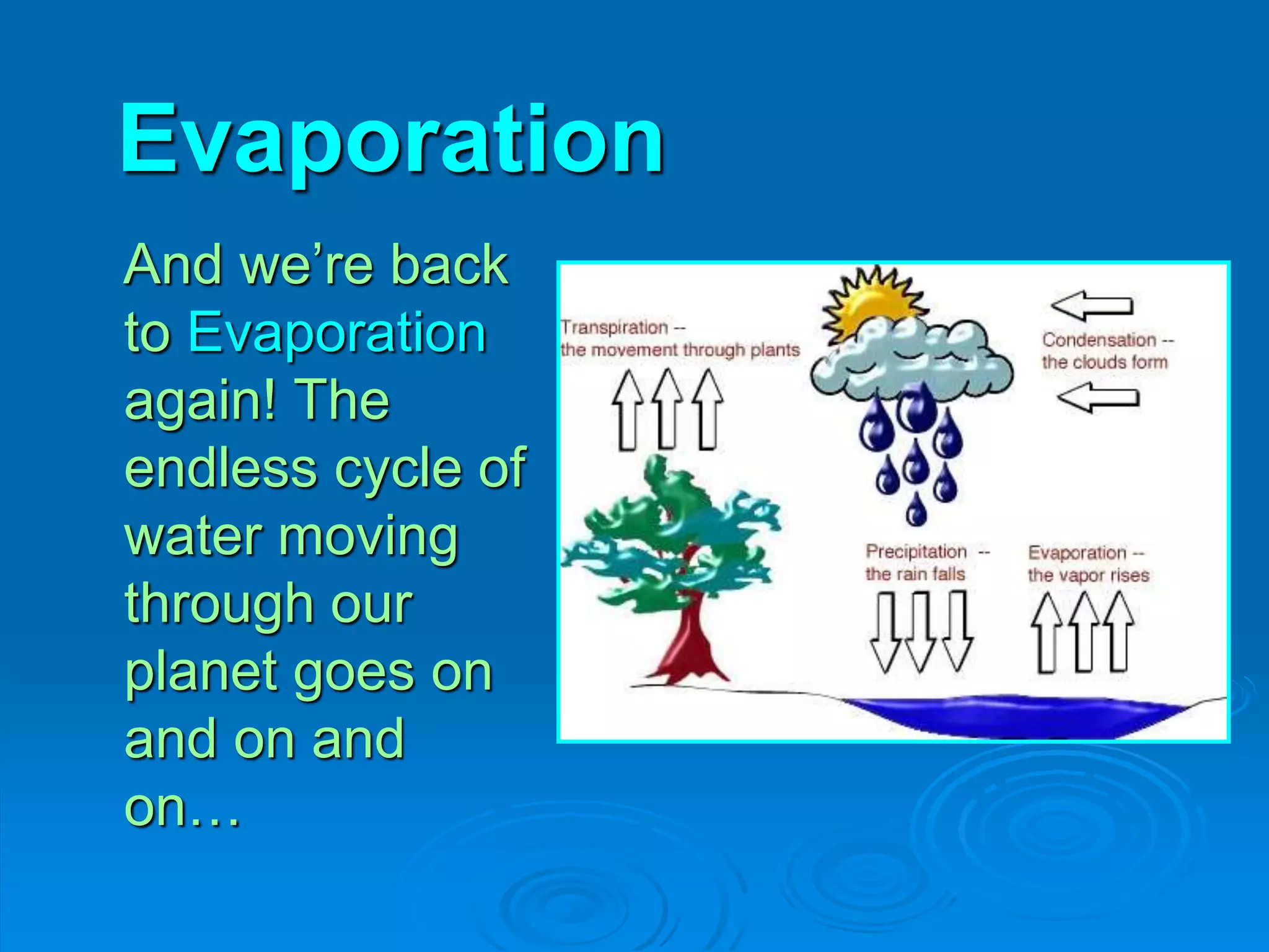 Water Cycle ppt..ppt