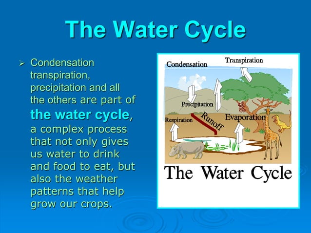 Water Cycle ppt..ppt