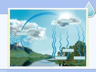 water cycle ppt.ppt water in atmosphere grade 6 science elevate | PPT