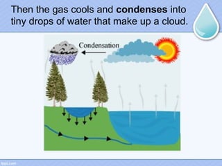 water cycle ppt.ppt water in atmosphere grade 6 science elevate | PPT
