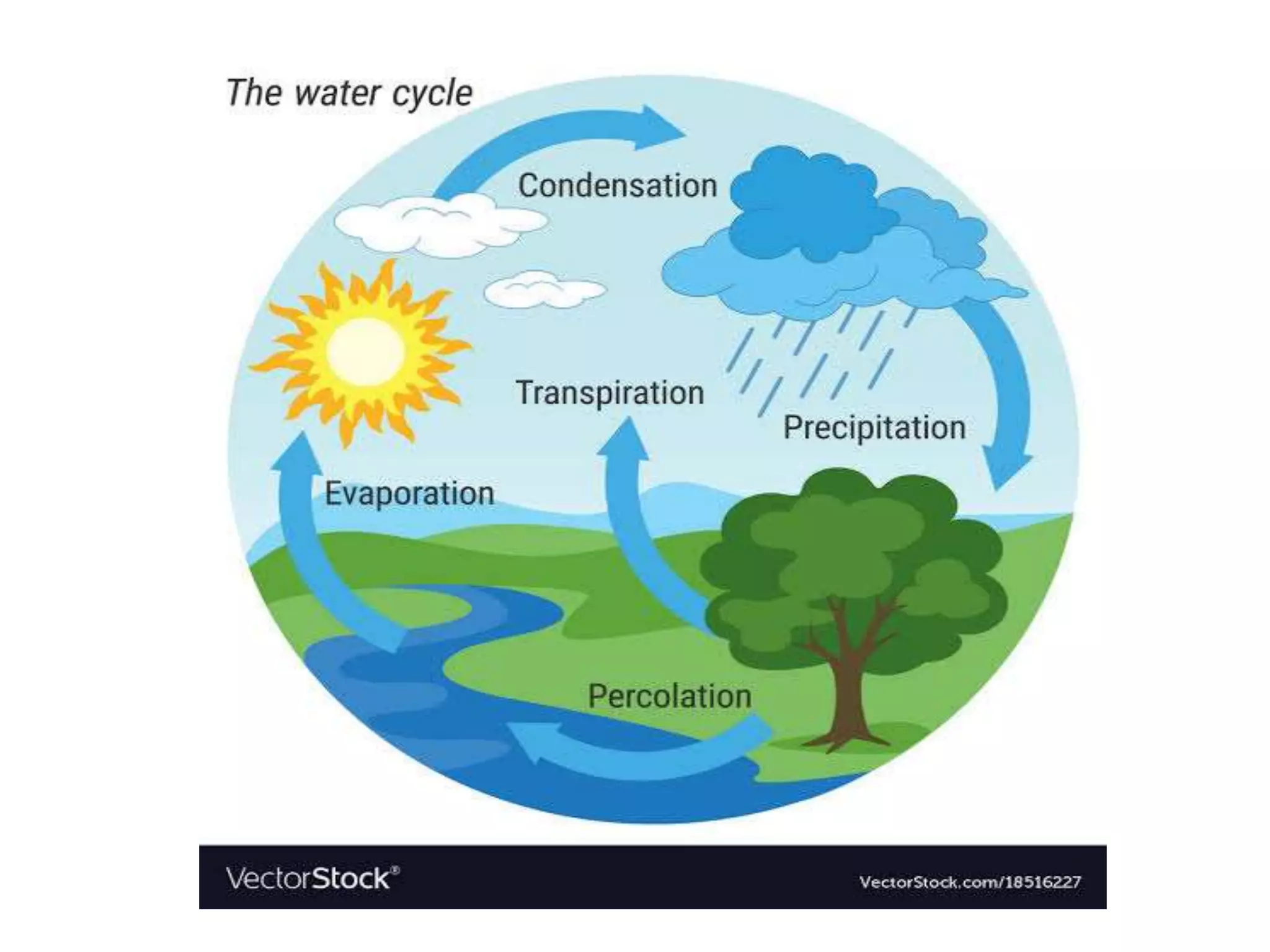 Water cycle ppt-WPS Office.pptx